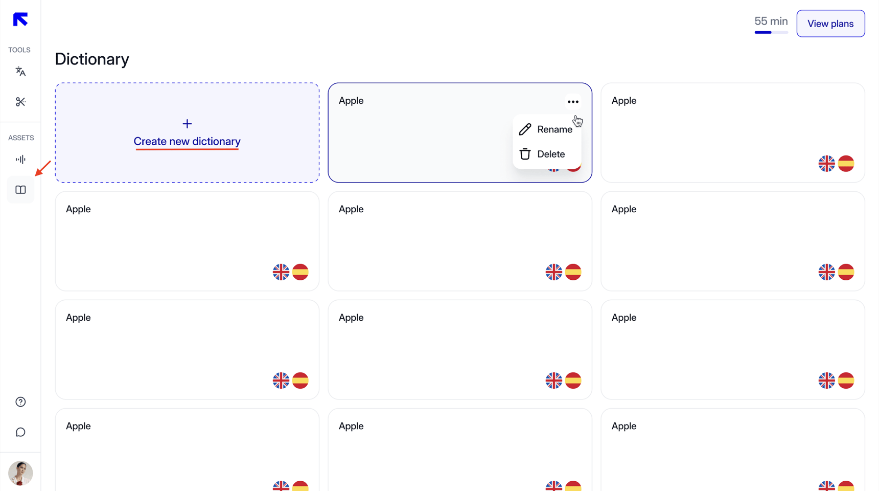 How to use Translation dictionary?